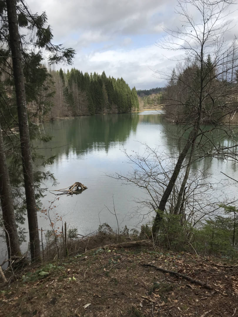 Repair work on Eagle’s trail in Kočevska Reka is completed – LIFE Kočevsko