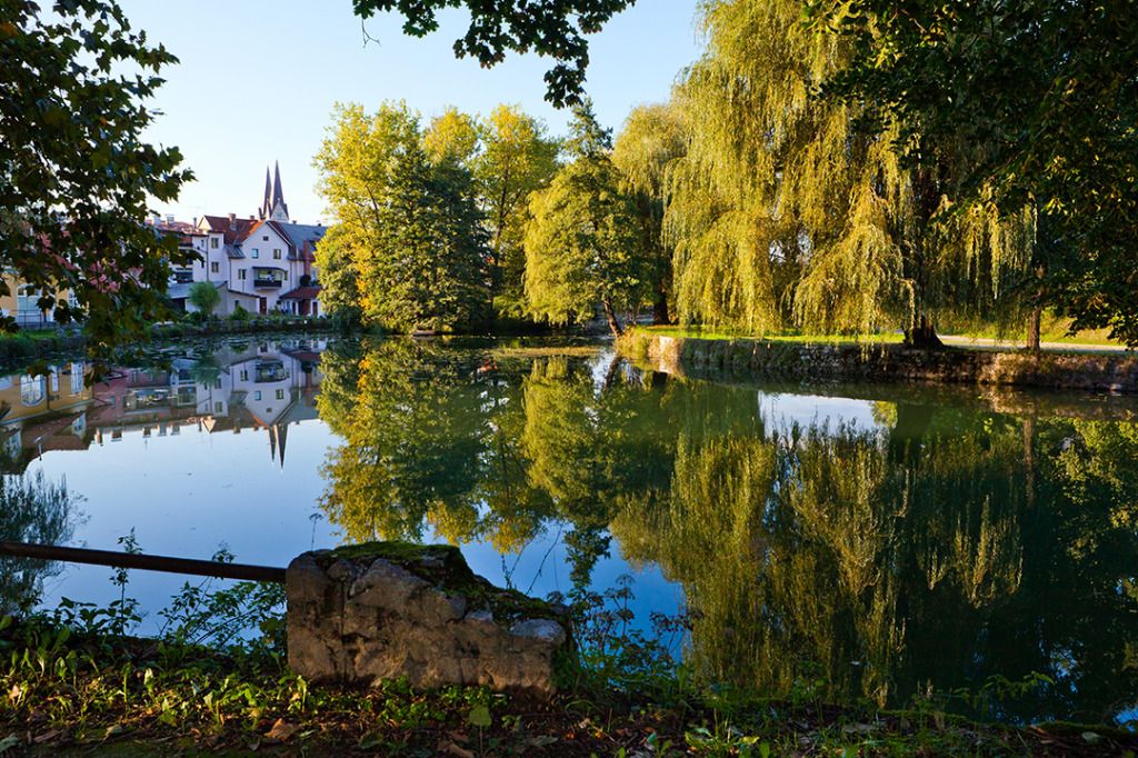 The Kočevje Region – A Land of Forest – LIFE Kočevsko